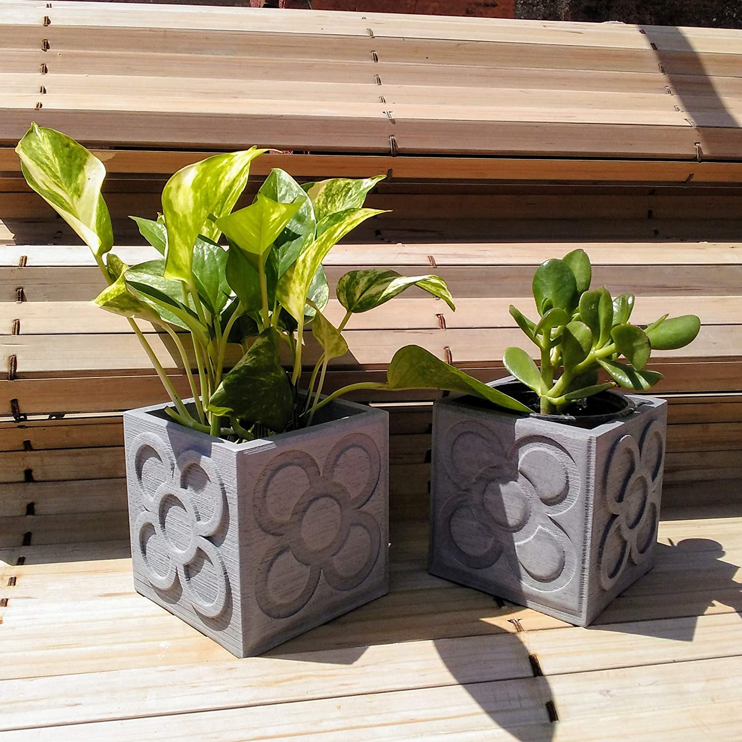 44 Regals del Panot de la Flor de Barcelona | 🎁 Regals Originals